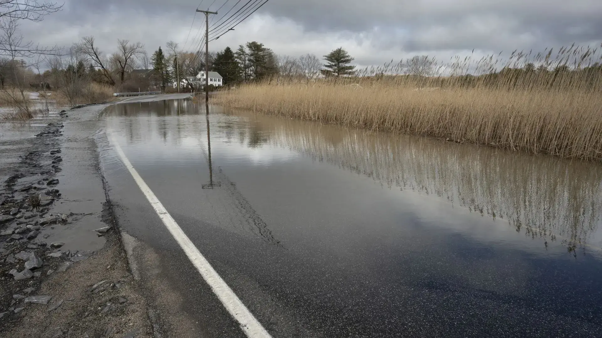 Sinking in Saltwater: Maine’s Coastal Marshes At Risk as Sea Levels ...