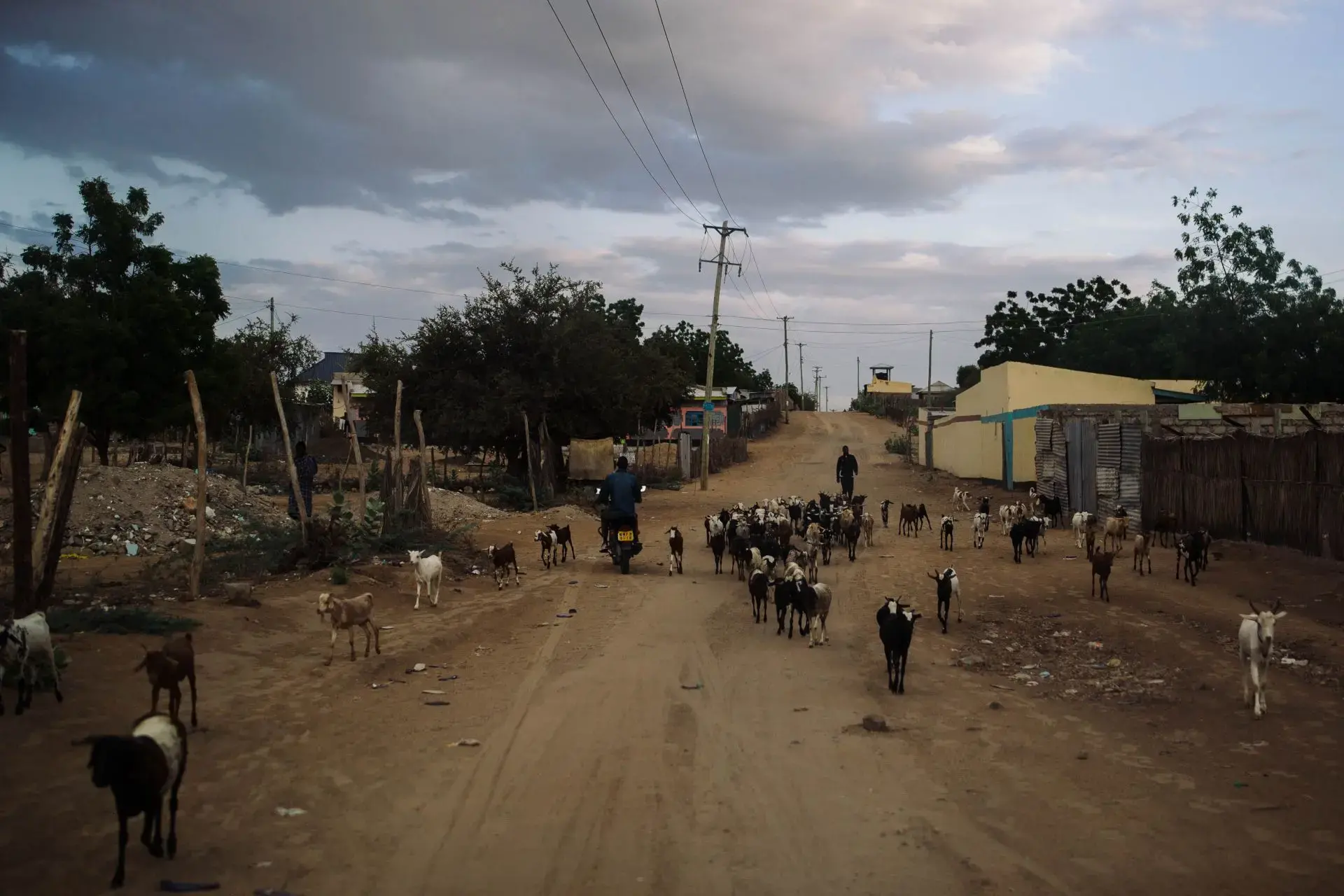 Northern Kenya’s Unending Battle With Banditry and Cattle Rustling ...