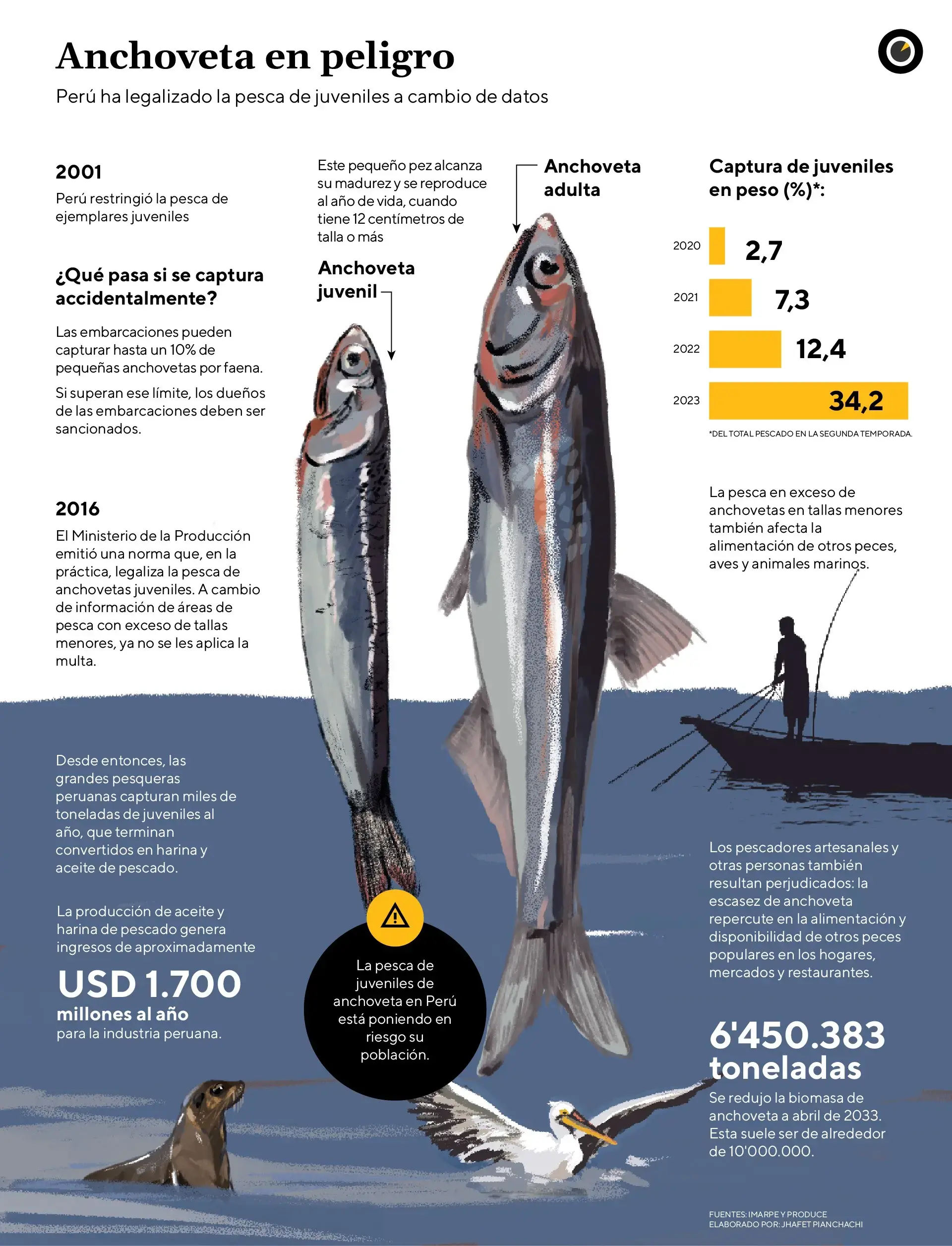El sacrificio de la anchoveta: Perú flexibilizó pesca de juveniles sin sustento científico ...