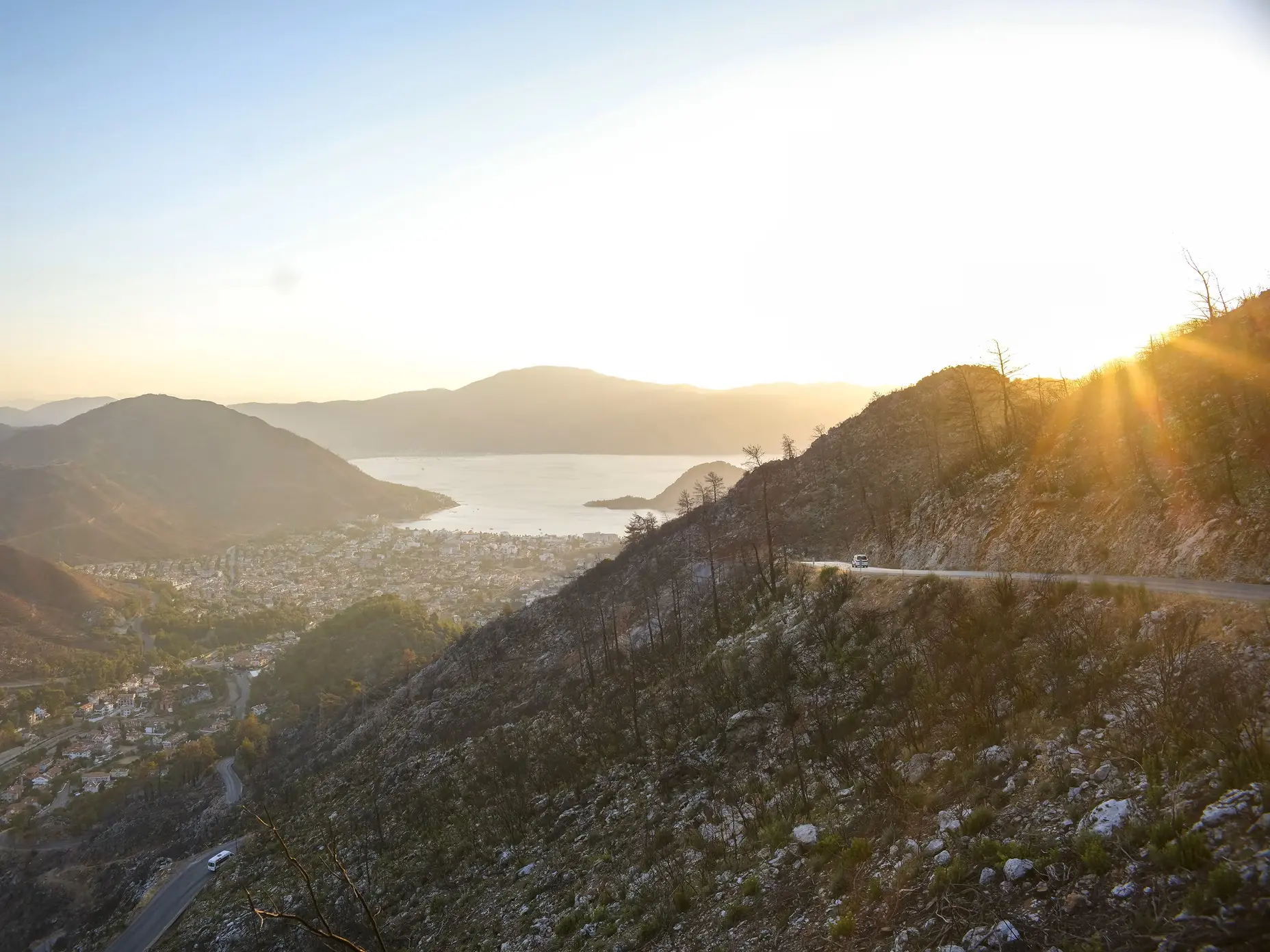 Turkey’s Honey Apocalypse Is a Warning to the World | Pulitzer Center