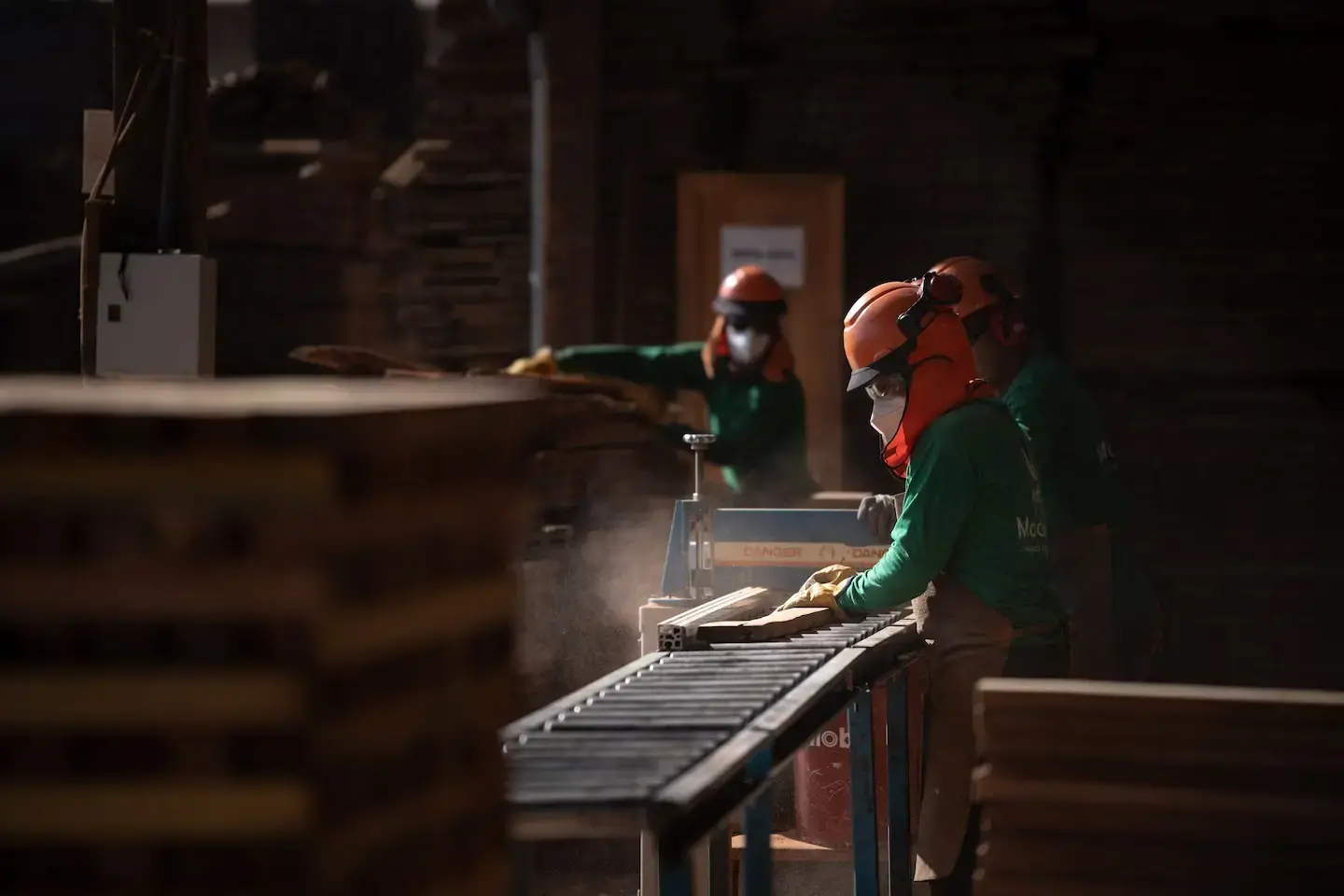 Timber Companies Claim Carbon Credits for Trees They Don’t Cut Down ...