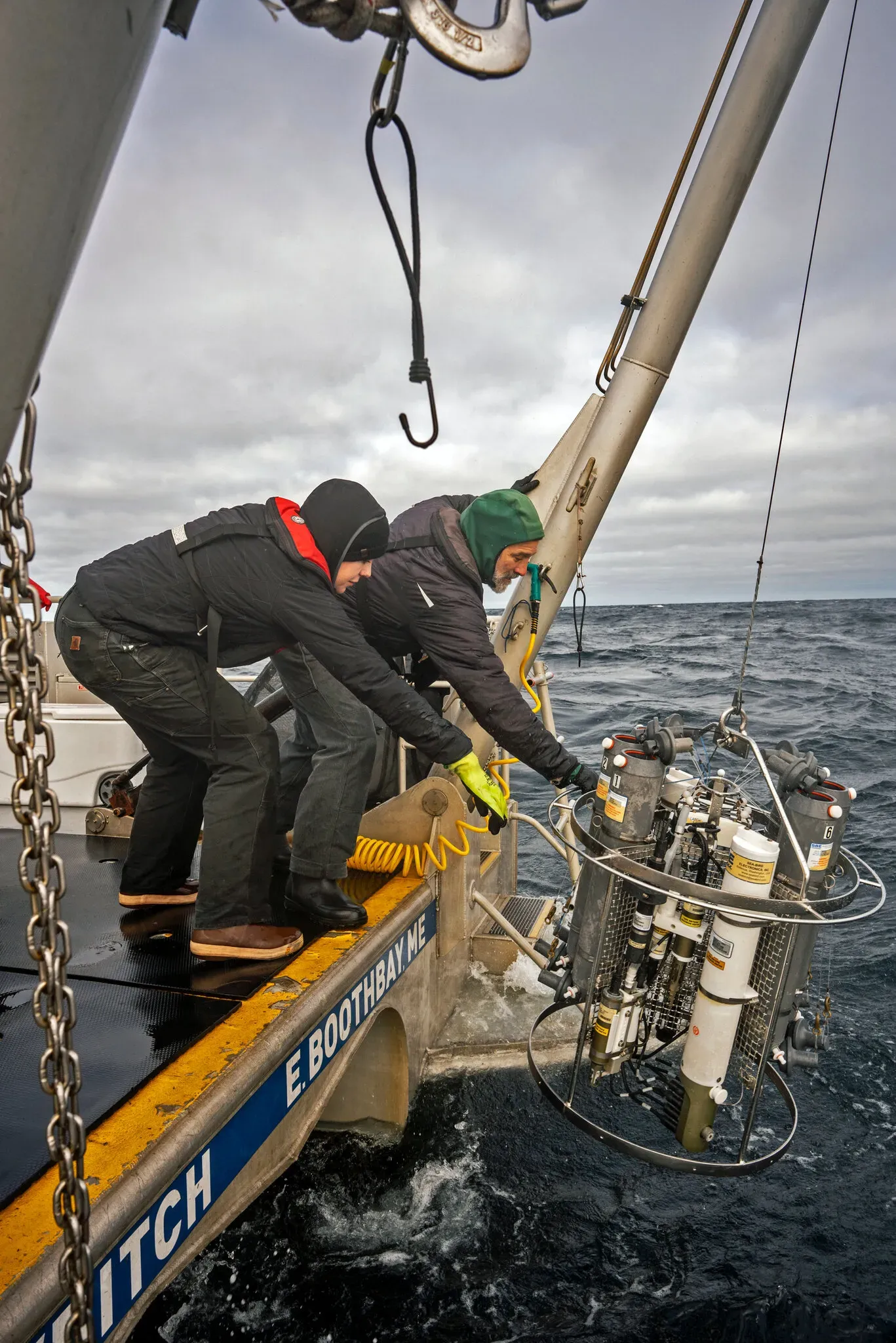 Rising Temperatures Are Scrambling the Base of the Ocean Food Web ...