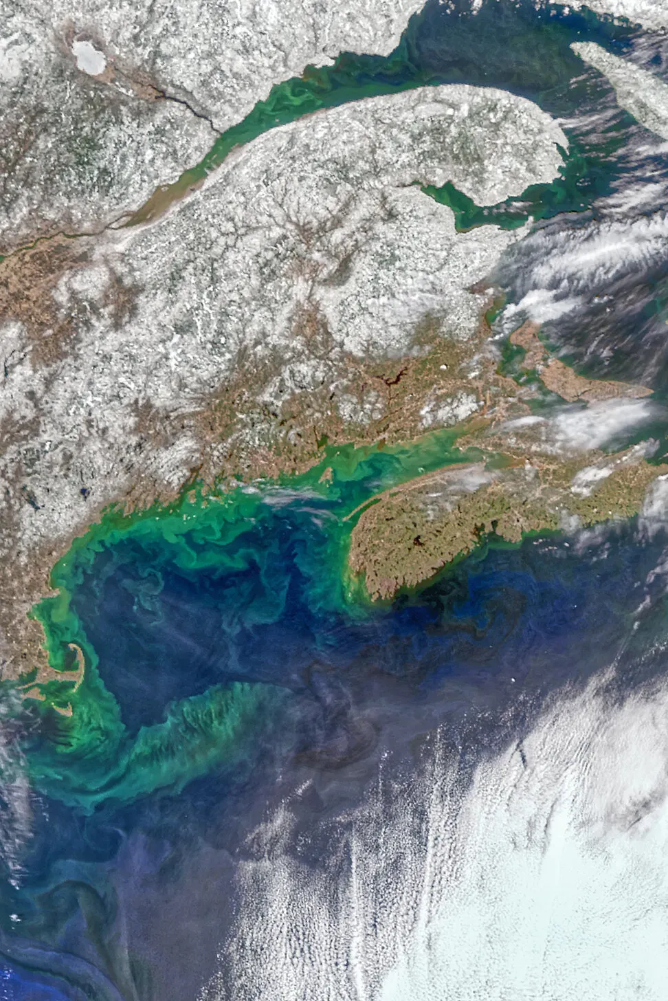 Rising Temperatures Are Scrambling the Base of the Ocean Food Web ...