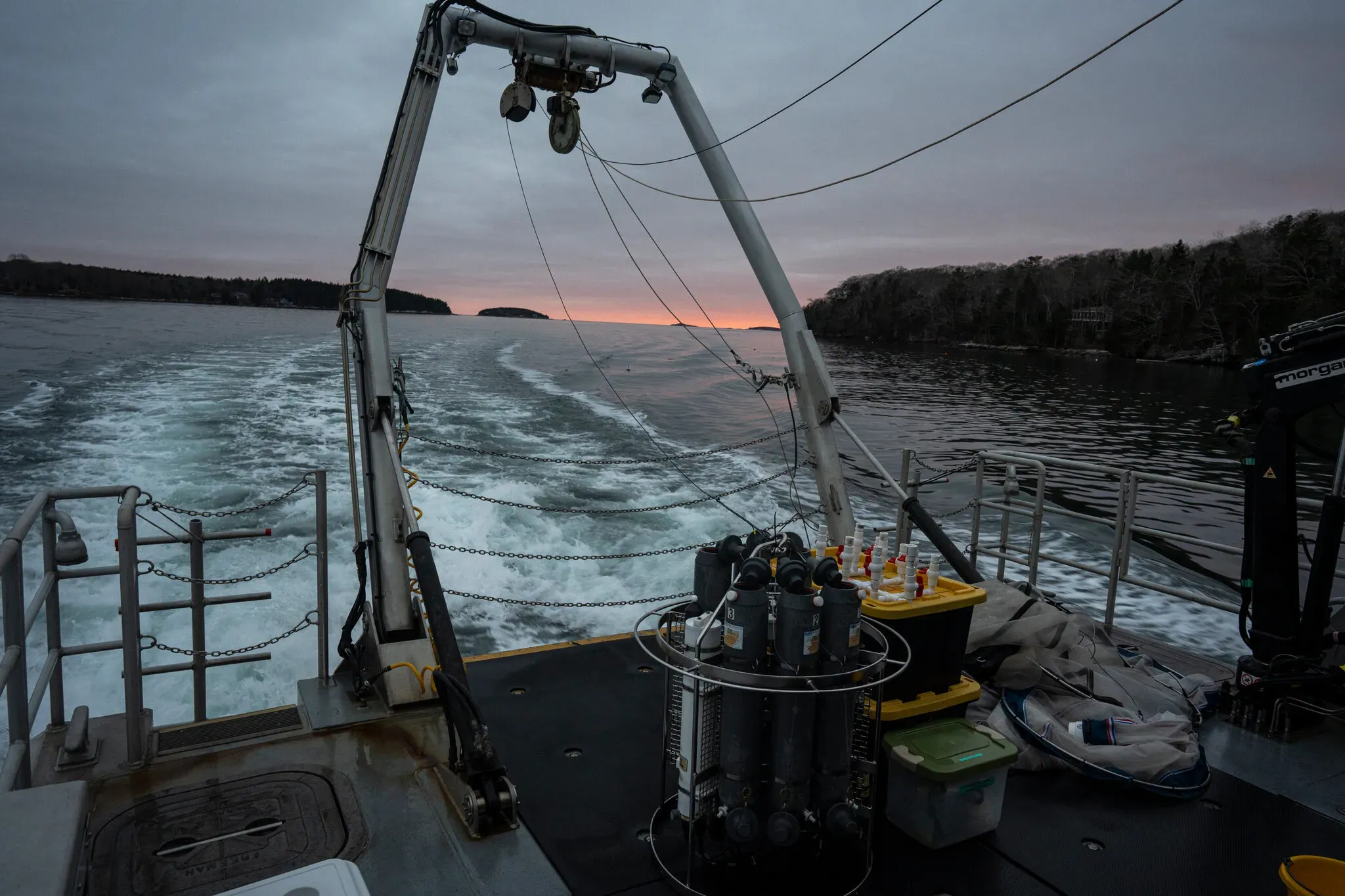 Rising Temperatures Are Scrambling the Base of the Ocean Food Web ...