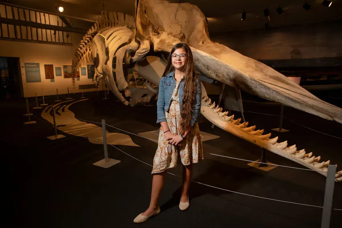 Six Ways To Show Humanity to Endangered Right Whales | Pulitzer Center