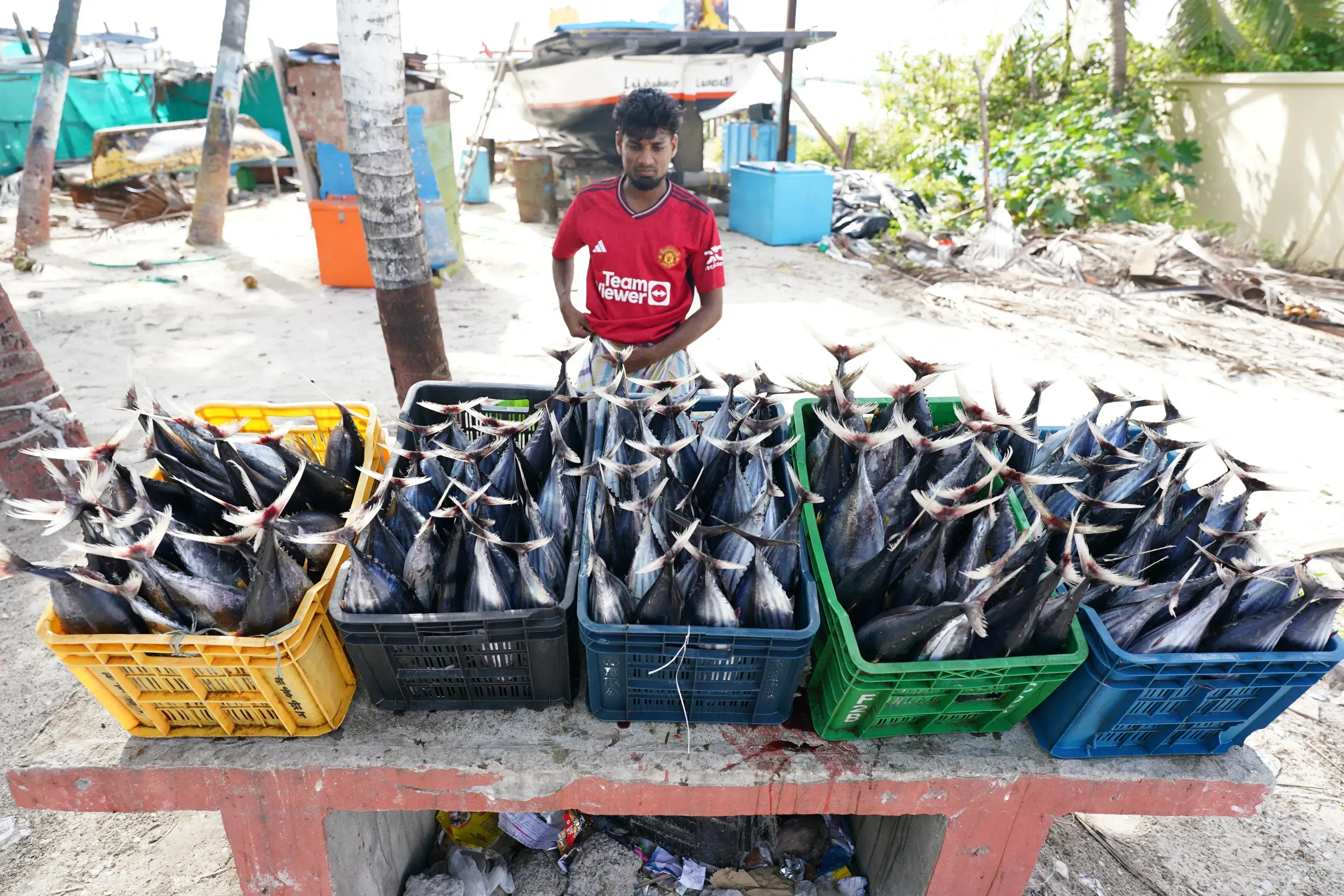 From Land to Sea, Looming Changes Hurl Lakshadweep Towards a Great ...