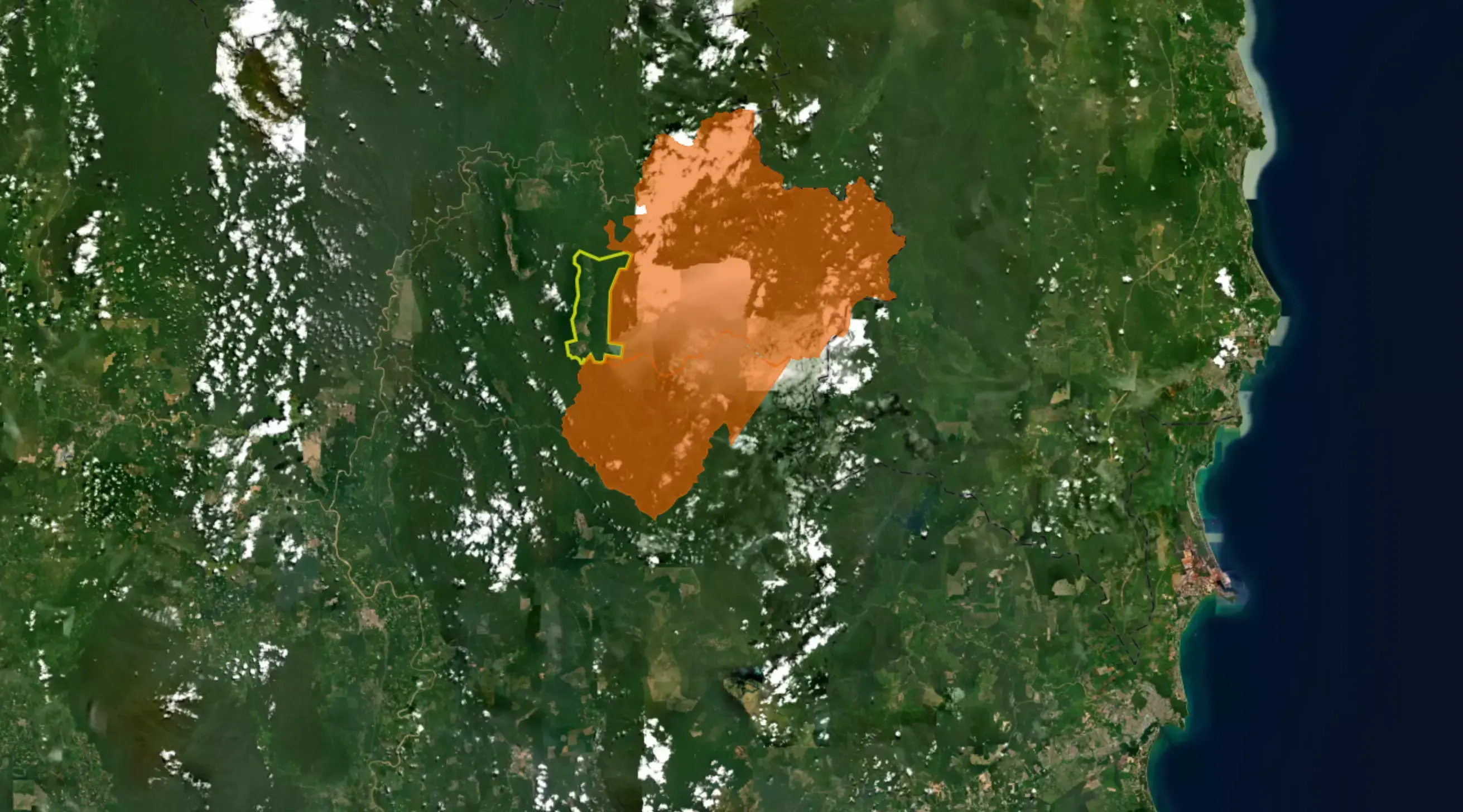 Timber Grab: The Truth Behind Pahang Oil Palm Plantations | Pulitzer Center