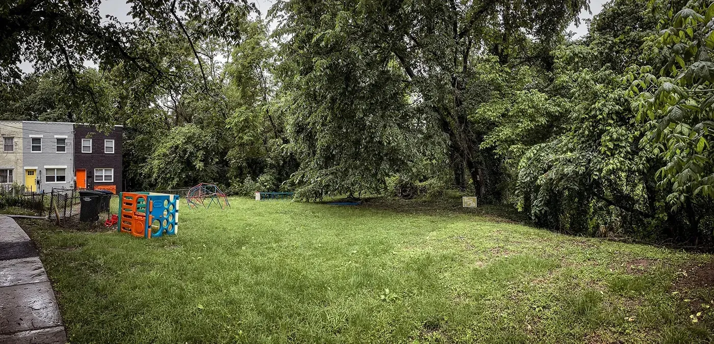 The Shade Gap: How Development Is Taking a Toll on D.C.’s Tree Canopy ...