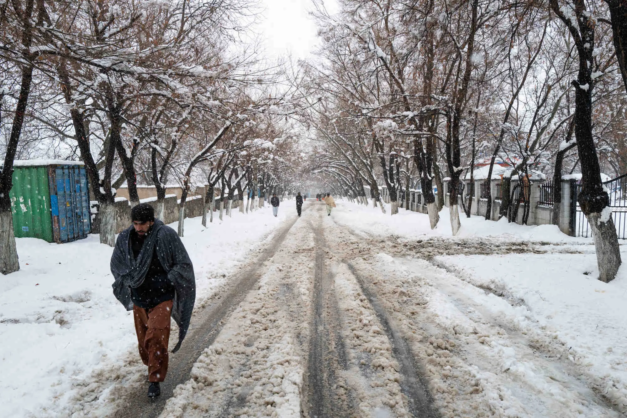 In a Cold Winter, Afghans Struggle to Keep Warm | Pulitzer Center