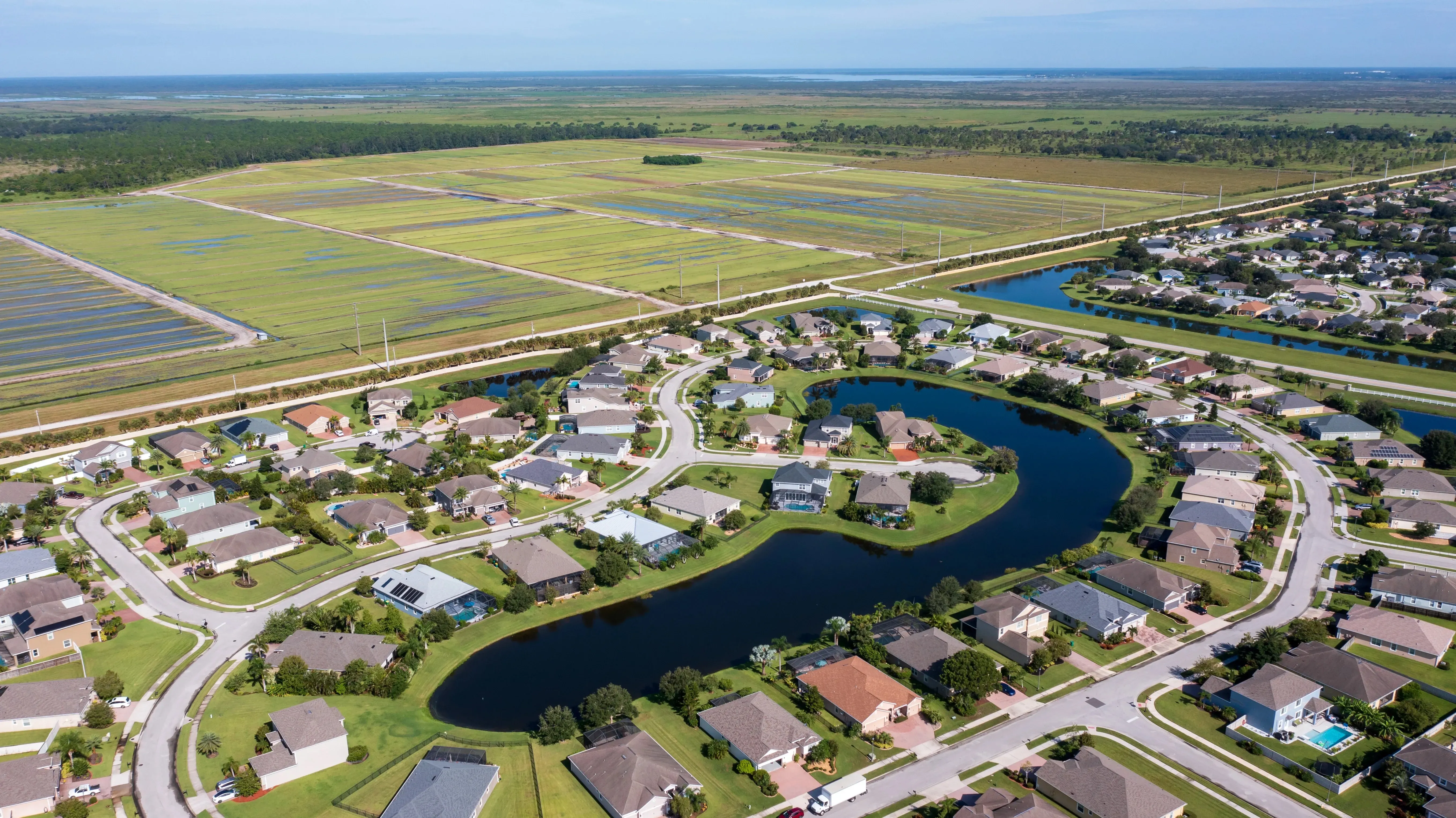Wasting Away: Rampant Pollution Caused Manatees To Starve. Florida ...