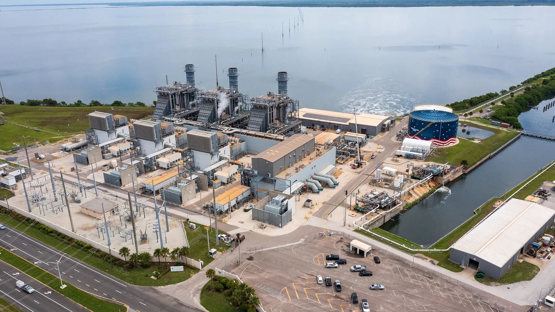 Wasting Away: Rampant Pollution Caused Manatees To Starve. Florida ...