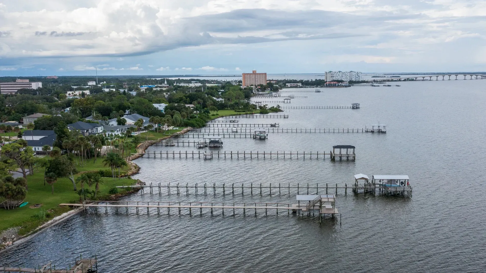 Wasting Away: Rampant Pollution Caused Manatees To Starve. Florida ...