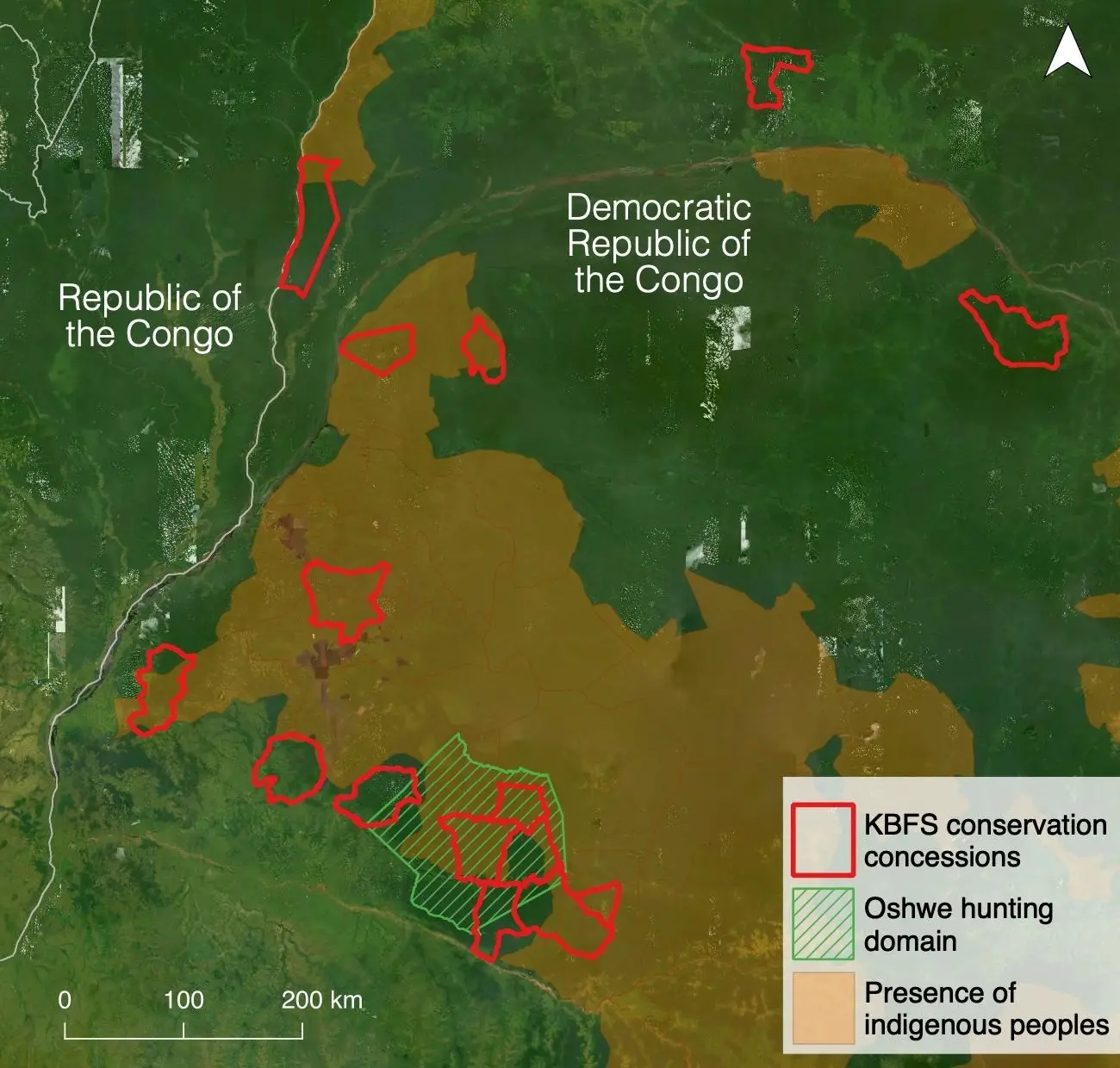 Congo's Forests, Irregularly in European Hands (Spanish) | Pulitzer Center