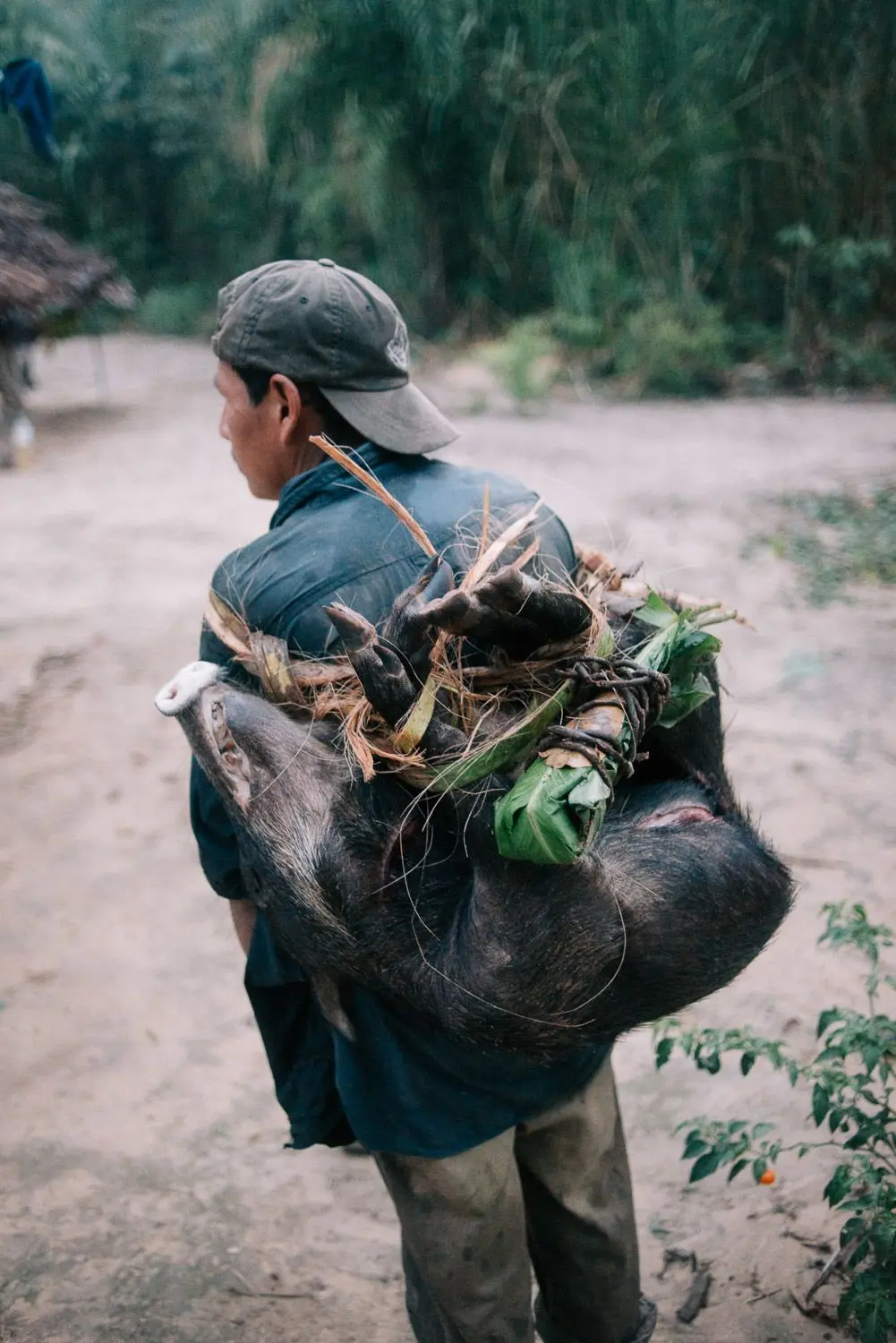 The Chimane of Maraca'tunsi and Their Stolen Holy Mount (Spanish ...